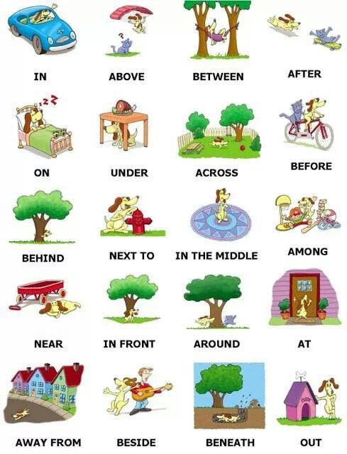 Primary English Cambridge Curriculum 2018